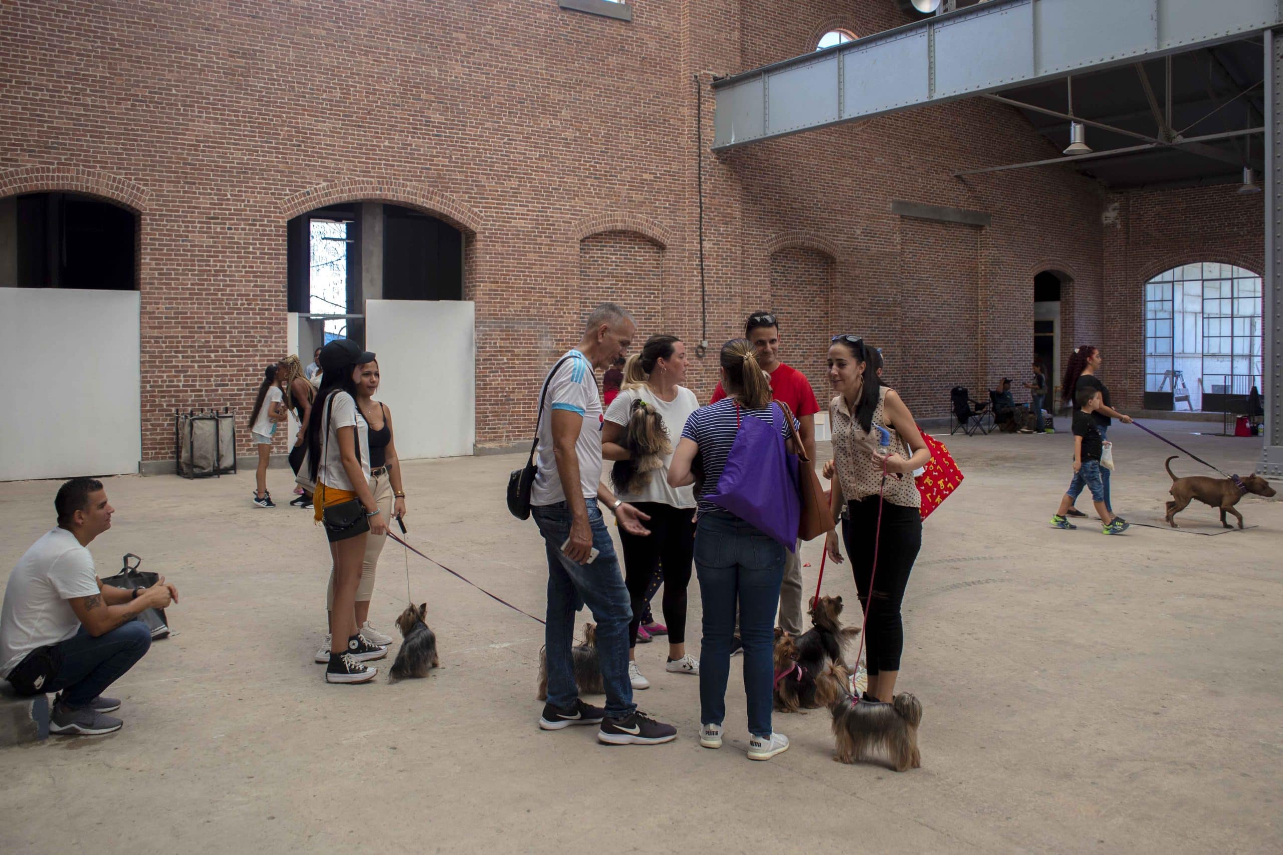 Expo Canina Internacional en imágenes: 38 razas se dan cita en La ...